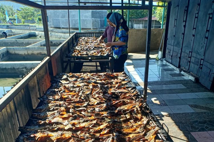 8 Langkah Sukses Menggunakan Mesin Pengasap Ikan untuk Hasil Terbaik ...